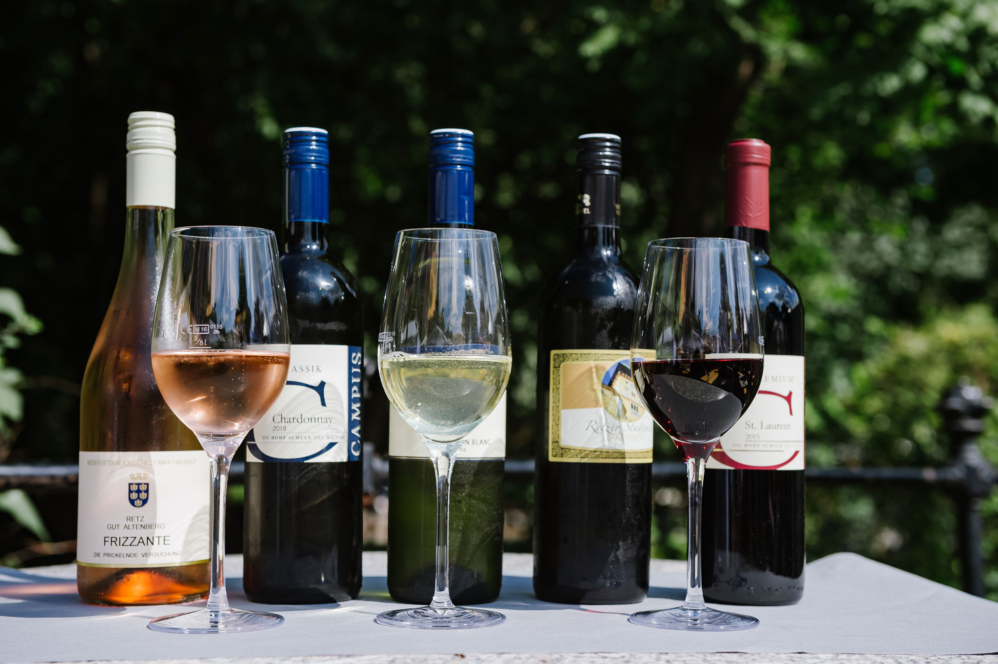 Retzer Land - Nationalpark Thayatal | NÖ Landesweingut Retz - Gut Altenberg